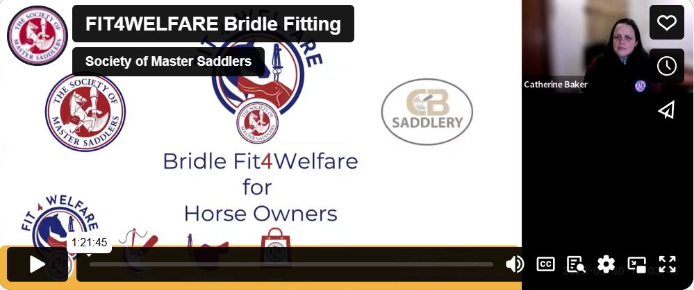 Bridle Fit 4 Welfare - The Society of Master Saddlers
